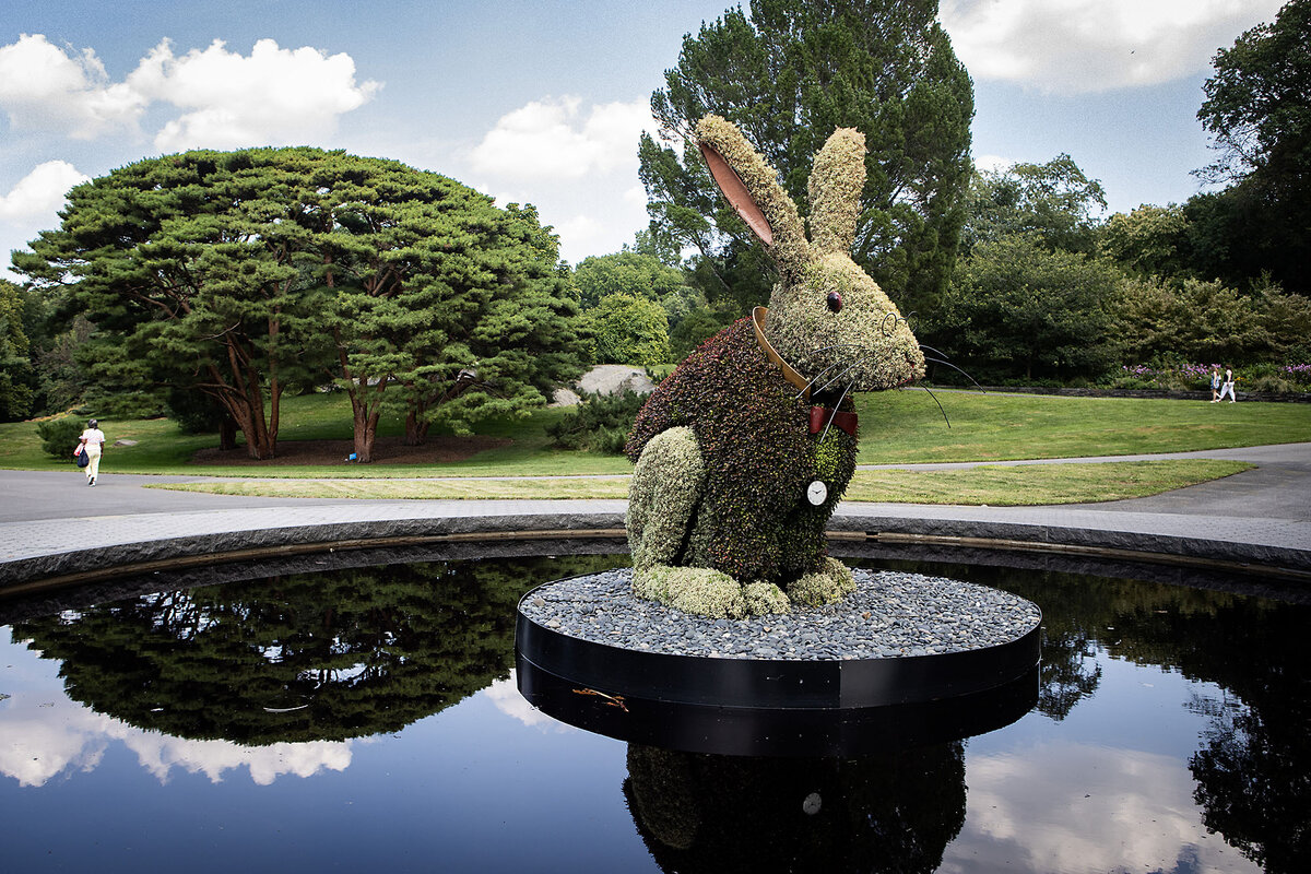 New York Botanical Garden hosts an enchanting ‘Wonderland’ - CSMonitor.com